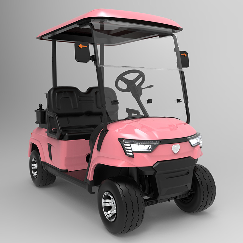 NEW ARRIVAL 2 SEATER GOLF CART E2 PINK